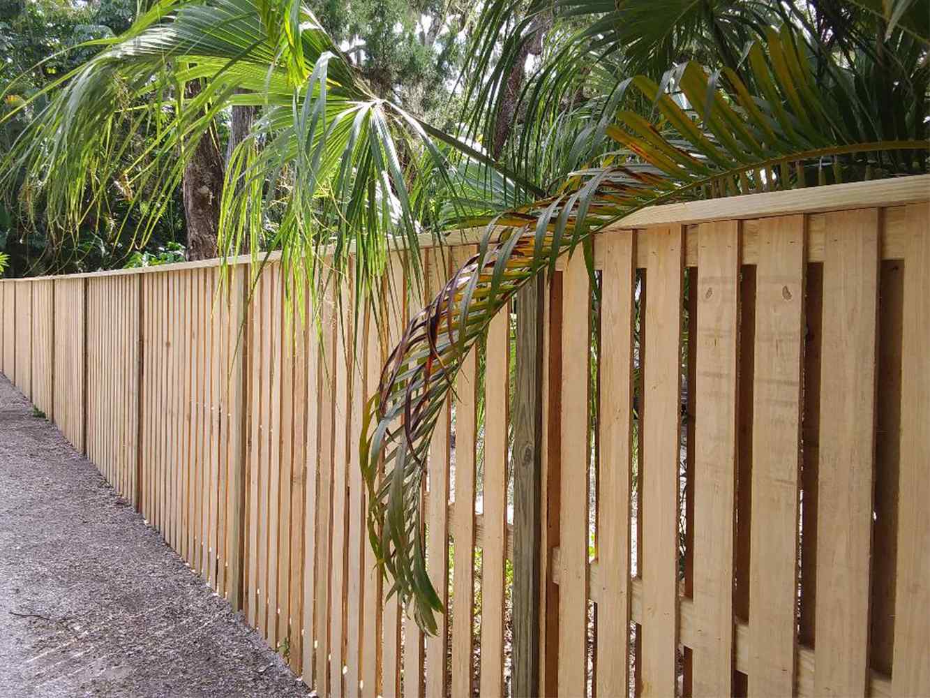 Surprising Wood Fence Facts for Florida Properties | H&Y Fence